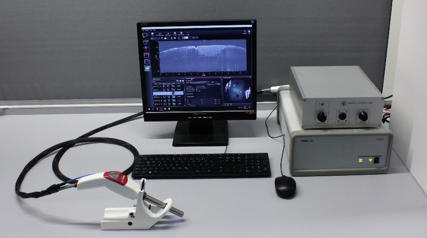 Dental-OCT • Medizinisches Laserzentrum Lübeck GmbH